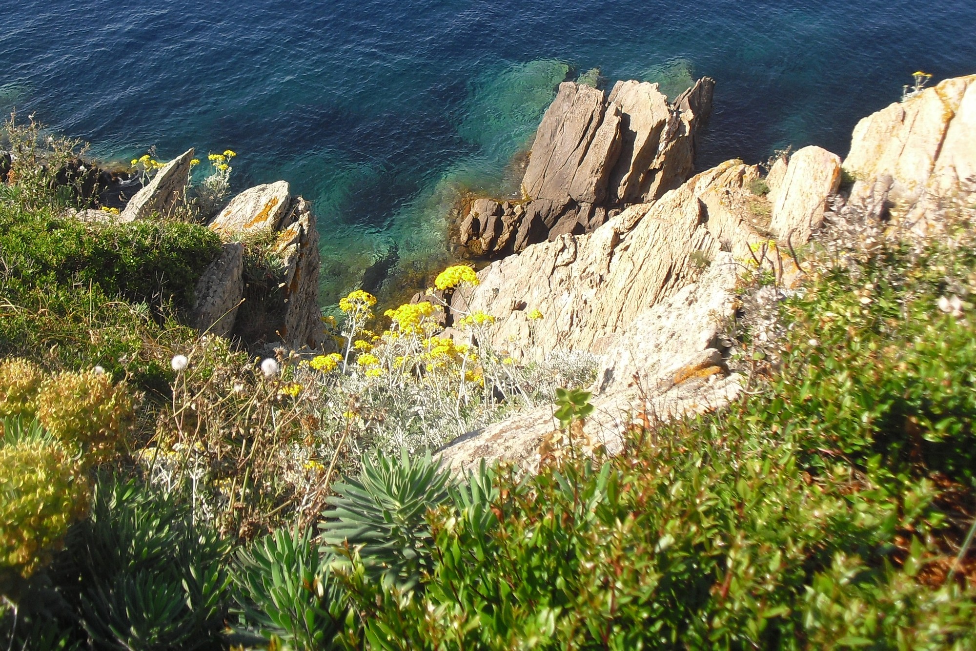 Marie-Claude - Gai Mistral - île du Levant Domaine Naturiste Héliopolis